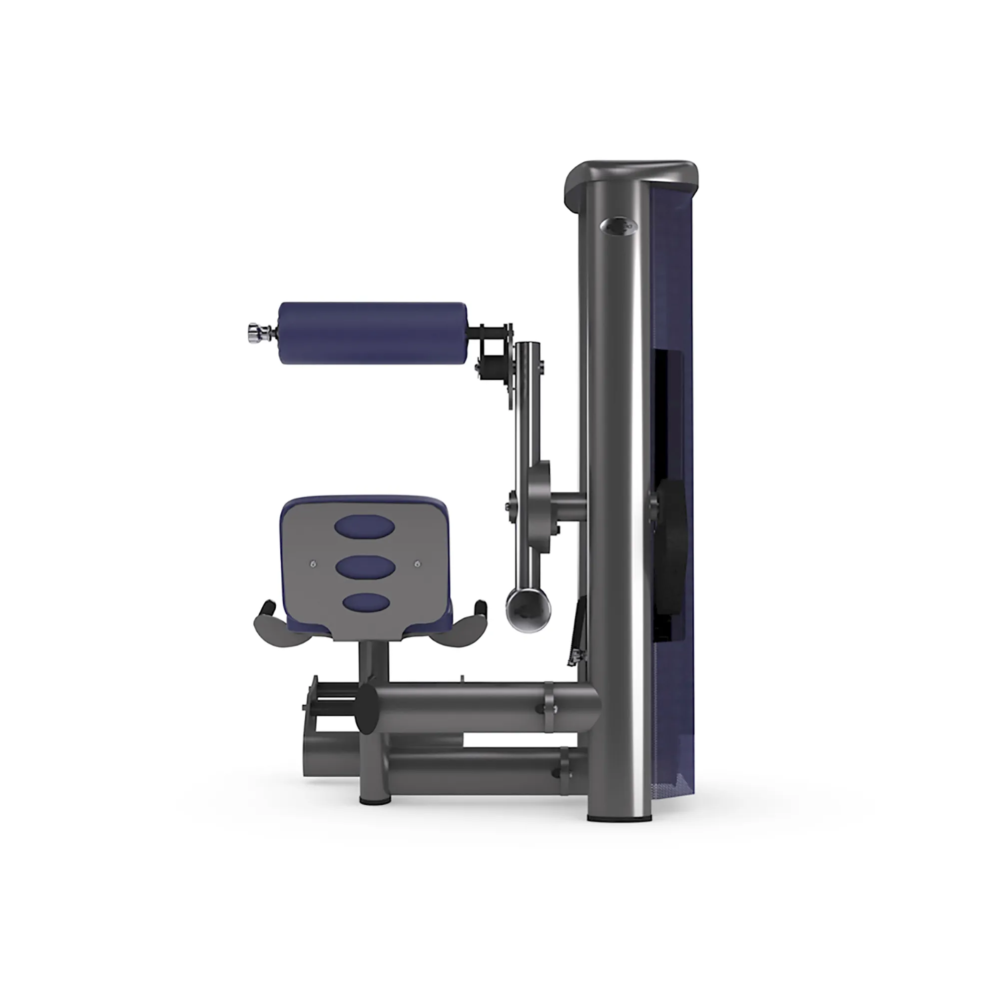 Prøv gym80 Standard Lower Back Machine i vores showroom