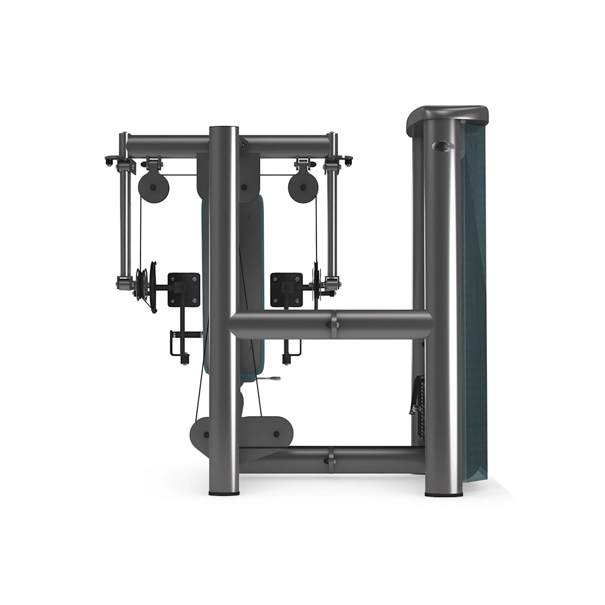 Gym80 Pure Kraft Innovation Curler