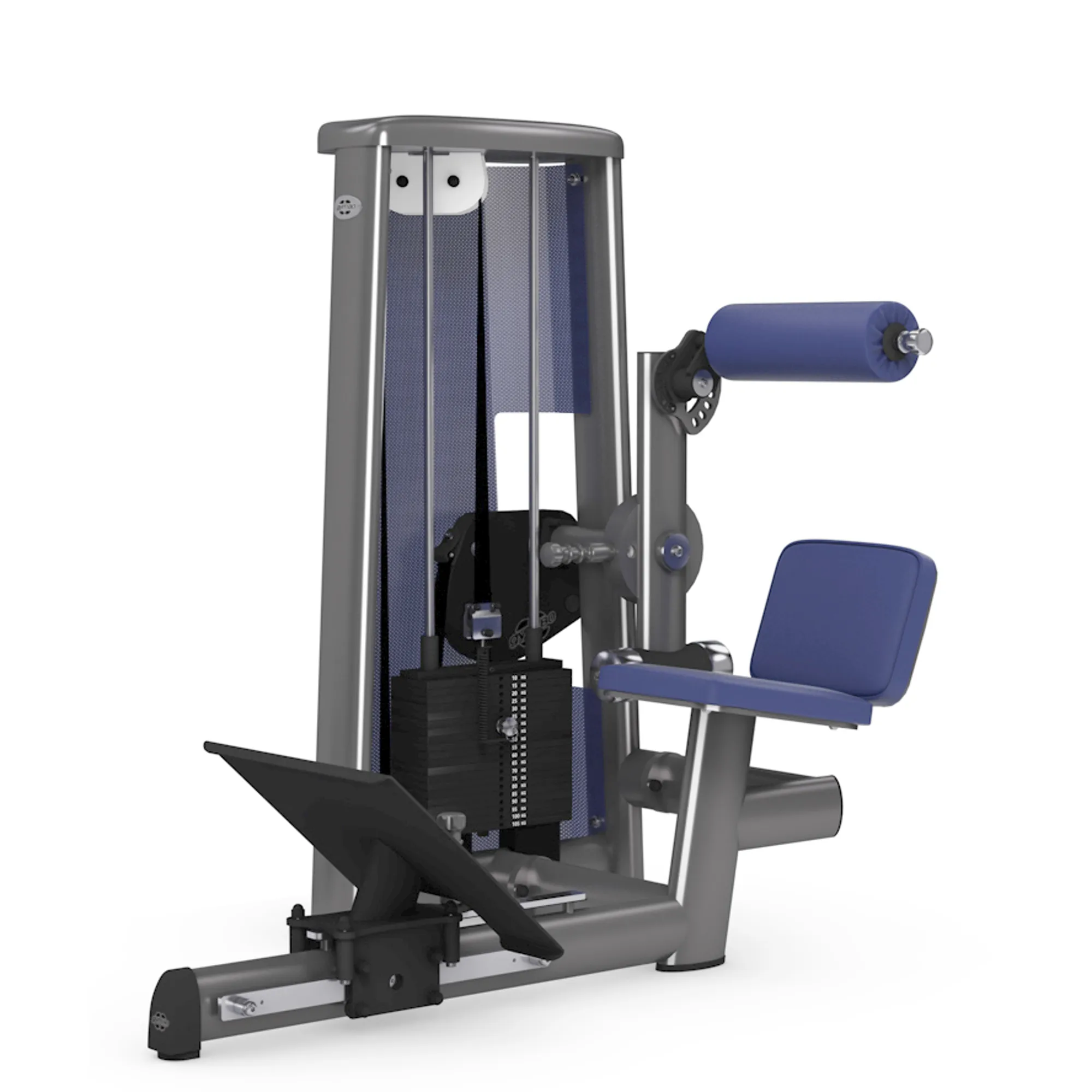 Køb gym80 Sygnum Lower Back maskine hos Fitness Engros