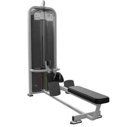 Nautilus Impact Dip Maskine